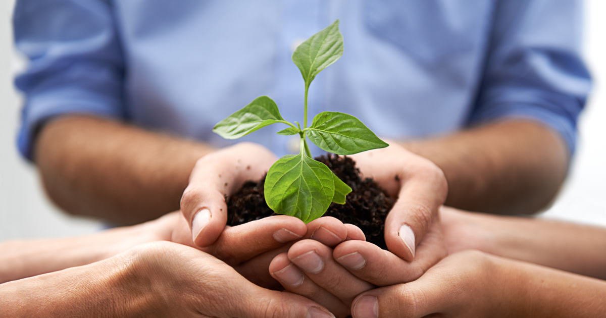 Fostering Growth and Development in Your Team
